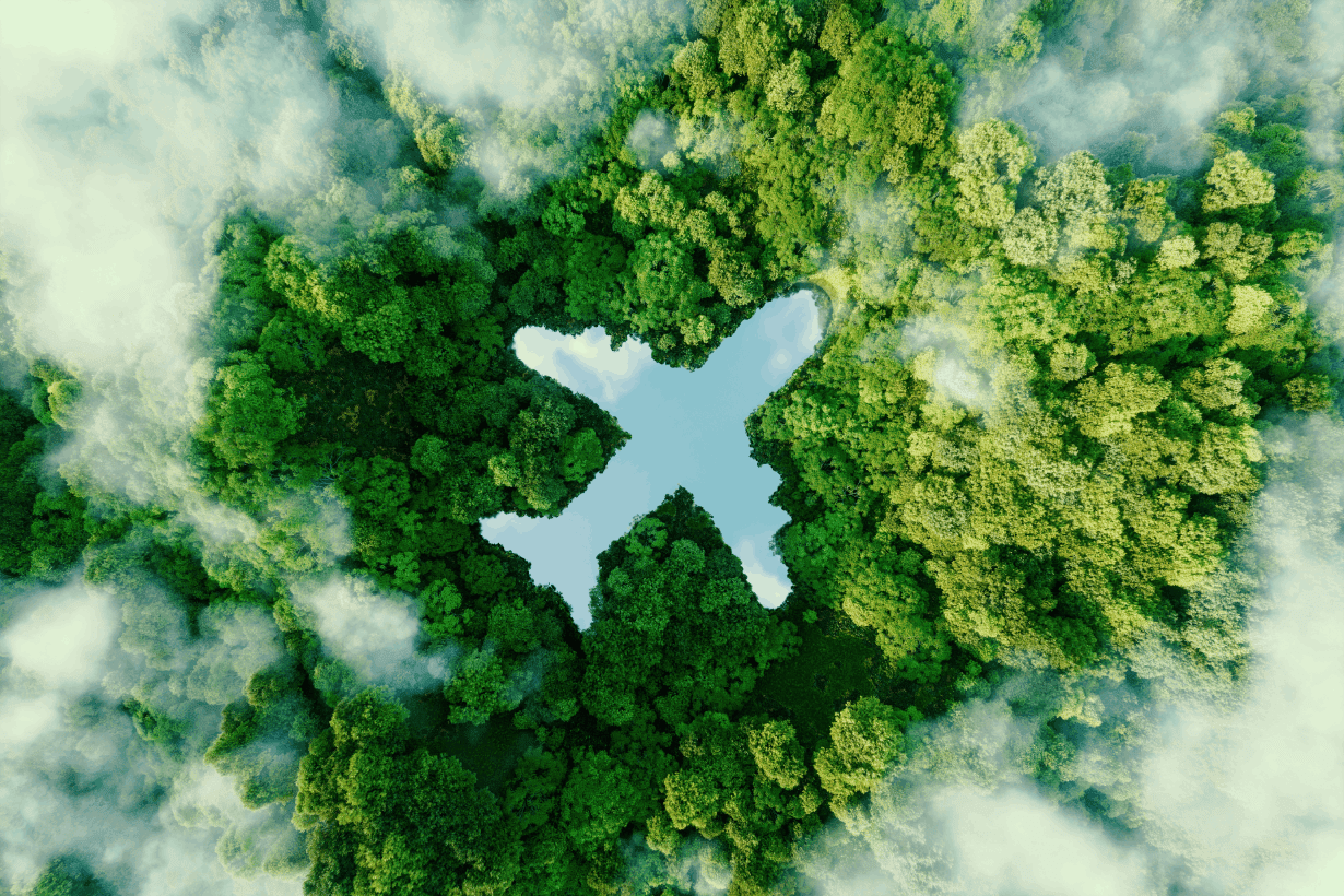 How More Biofuels Will Push for Sustainable Aviation Globally
